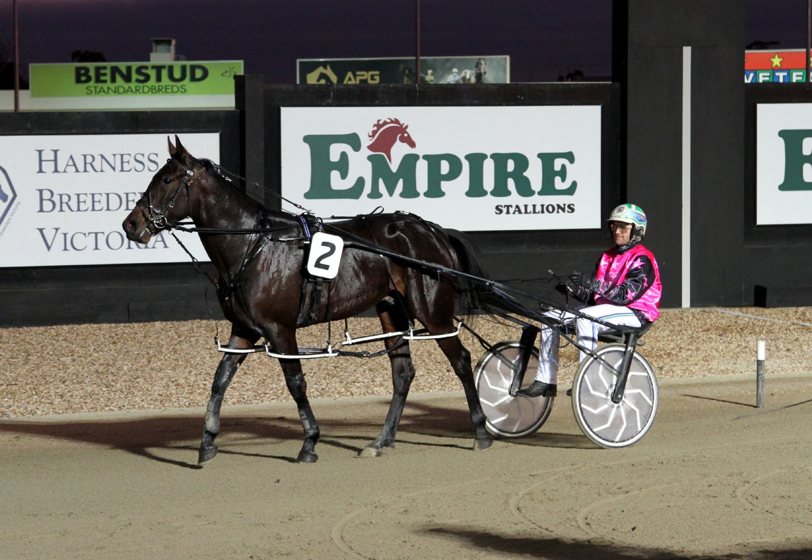 Rocknroll Hanover – Empire Stallions