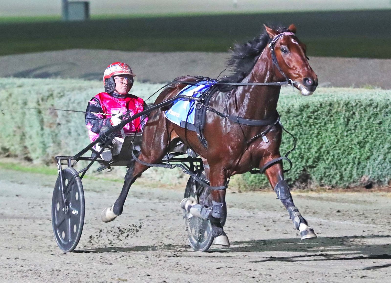 Somebeachsomewhere – Empire Stallions