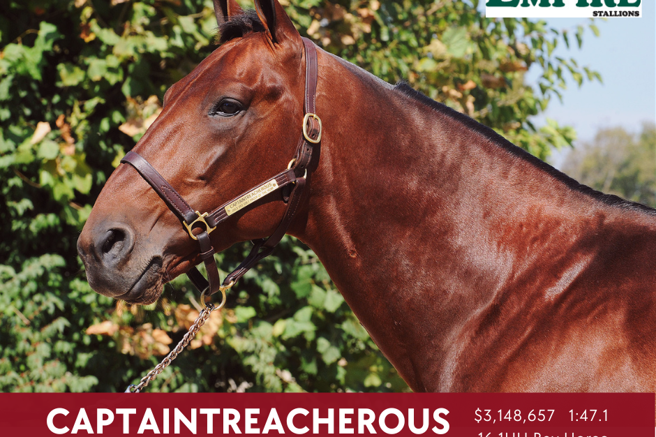 News – Empire Stallions