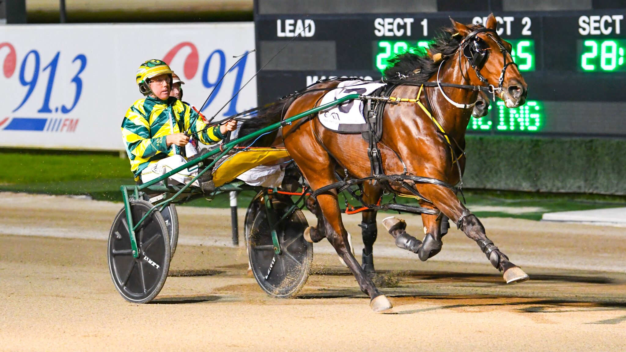 Captaintreacherous – Empire Stallions